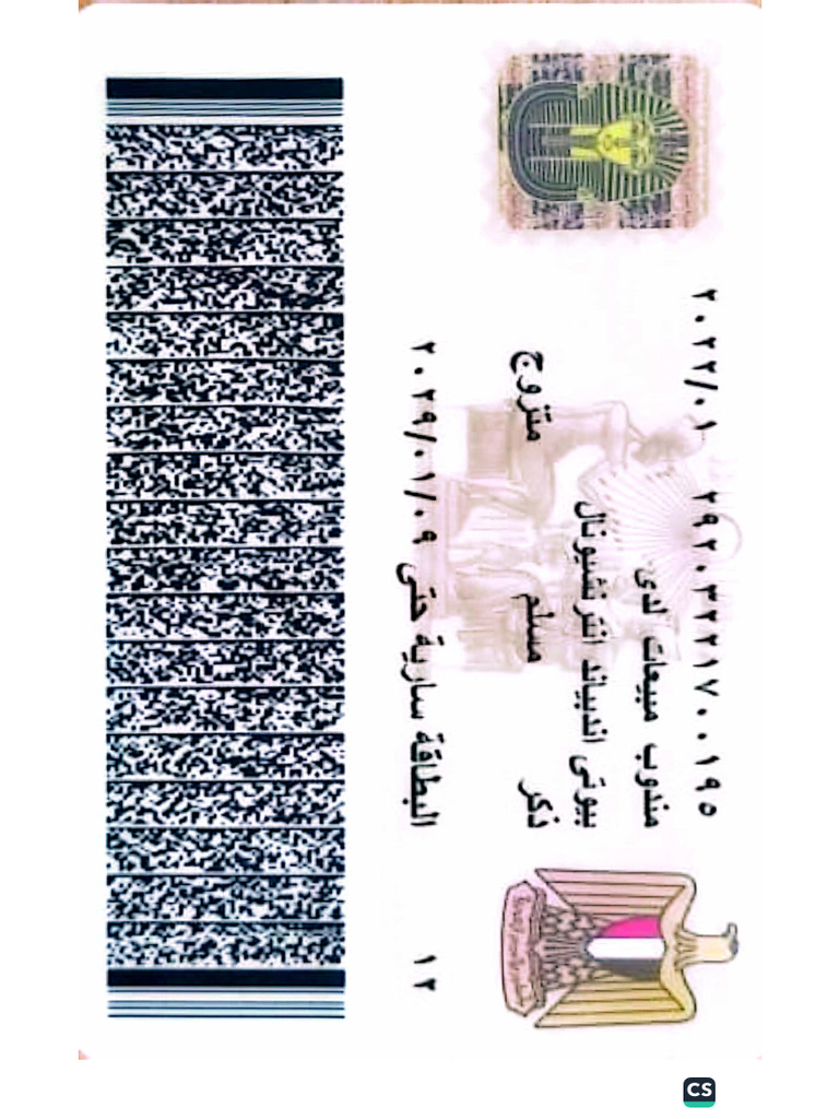 Mohamed Abdel Monem | PDF