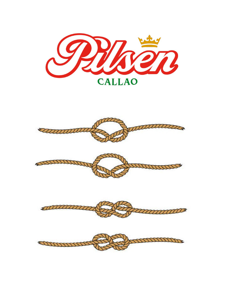 Logo Pilsen y Cuerdas | PDF