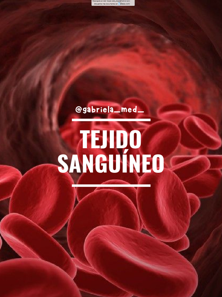 Tejido Sanguineo Resumen 1 Downloable | PDF | Sangre | Leucocito