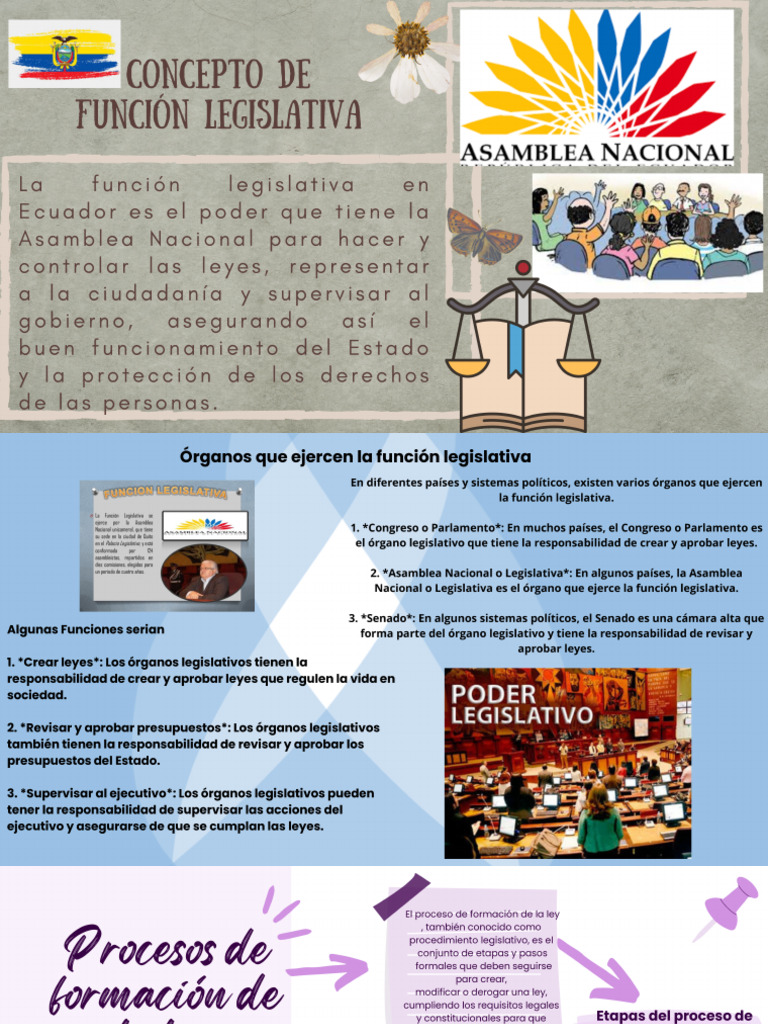 Tipos de Leyes | PDF