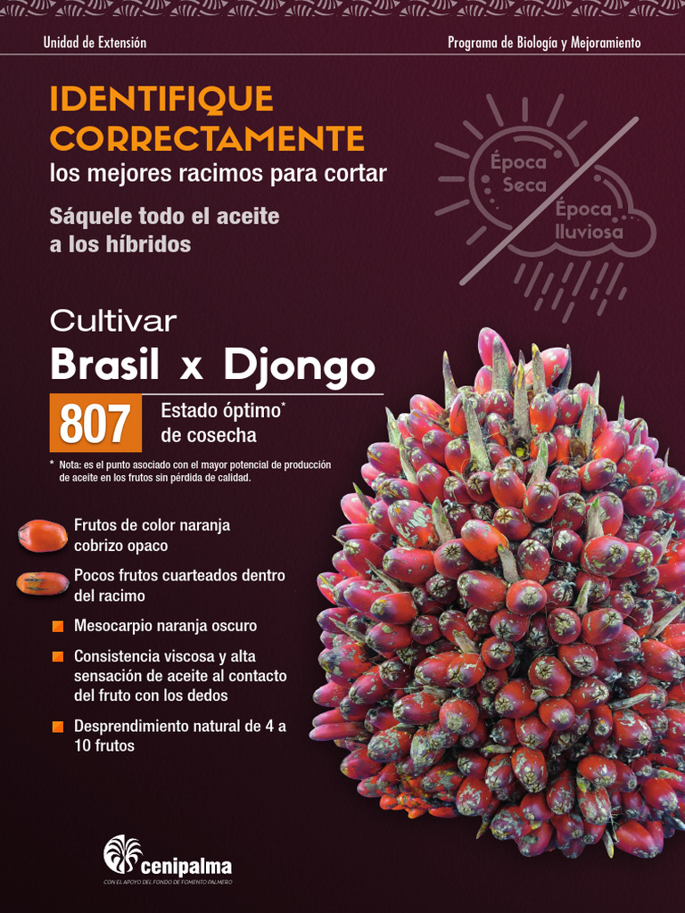 Punto Óptimo de Cosecha para 4 Cultivares Híbridos Interespecíficos OxG ...