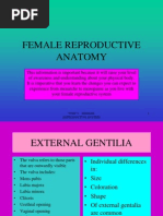 Female External Genitalia Illustrations | PDF