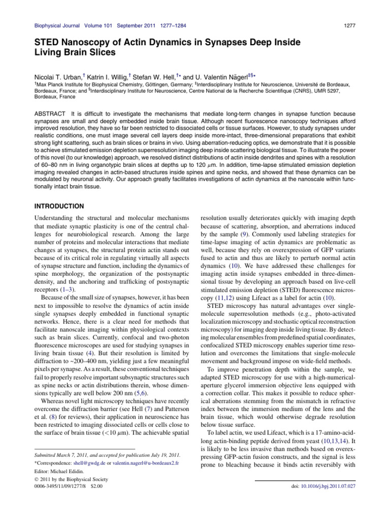 Sted Without Tissue Clearing | PDF | Microscopy | Synapse