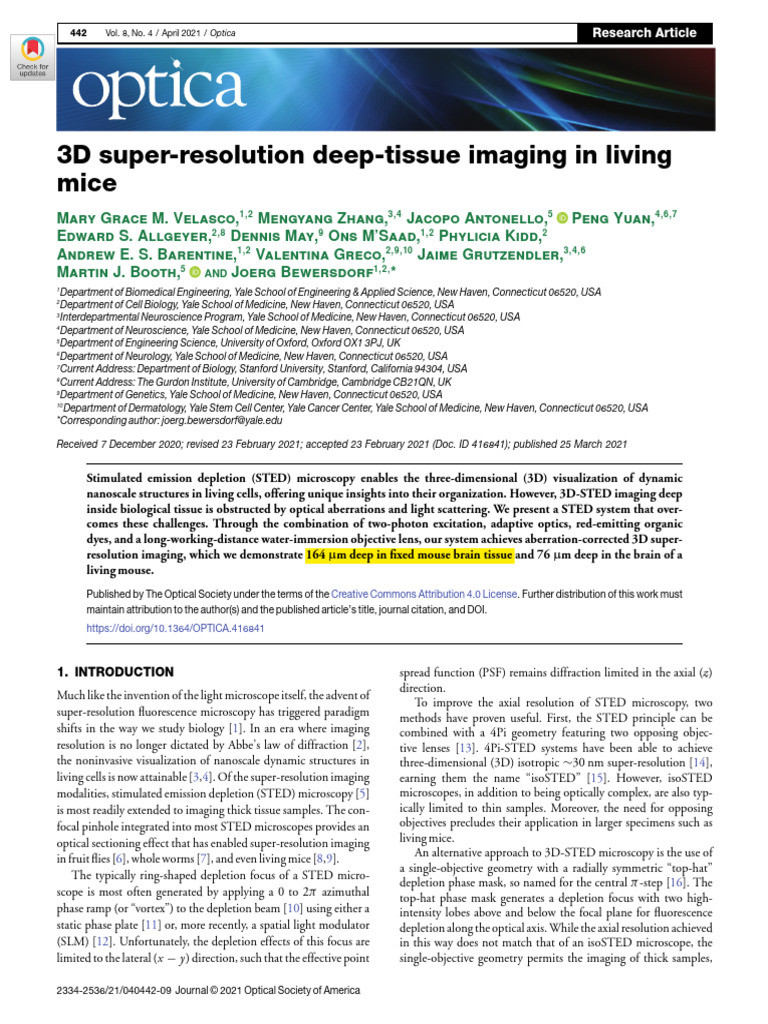 Deep-Tissue Imaging in Living Mice | PDF | Microscopy | Angular Resolution