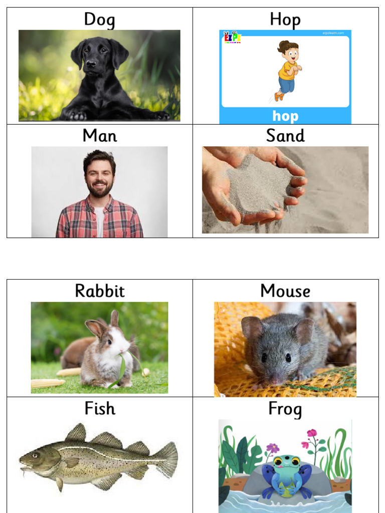 HOP, SWIM AND RUN - New Words Flashcards-1 | PDF