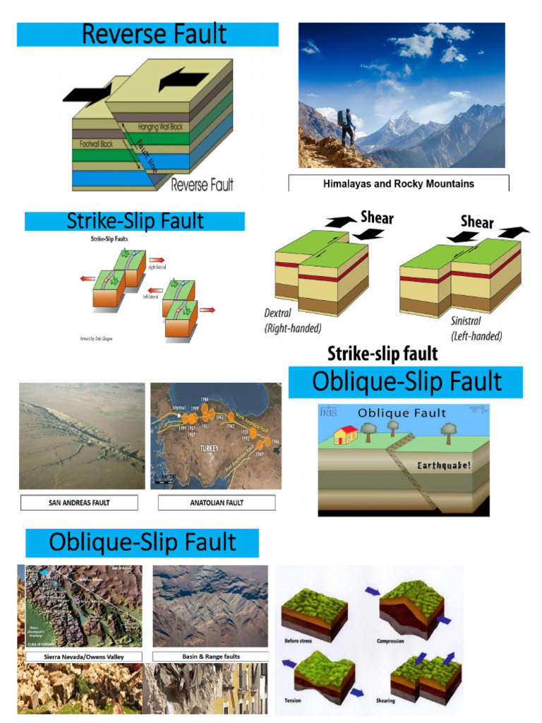 Paprint Po Pls | PDF