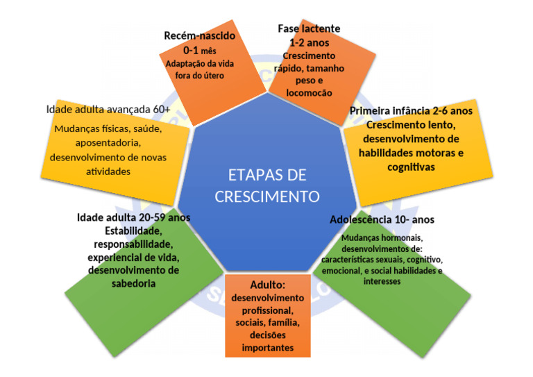 Etapas de Crescimento | PDF