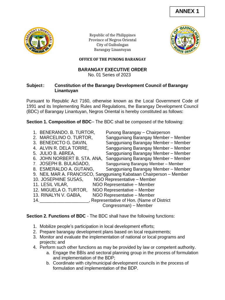 1.1. Barangay Development Council | PDF