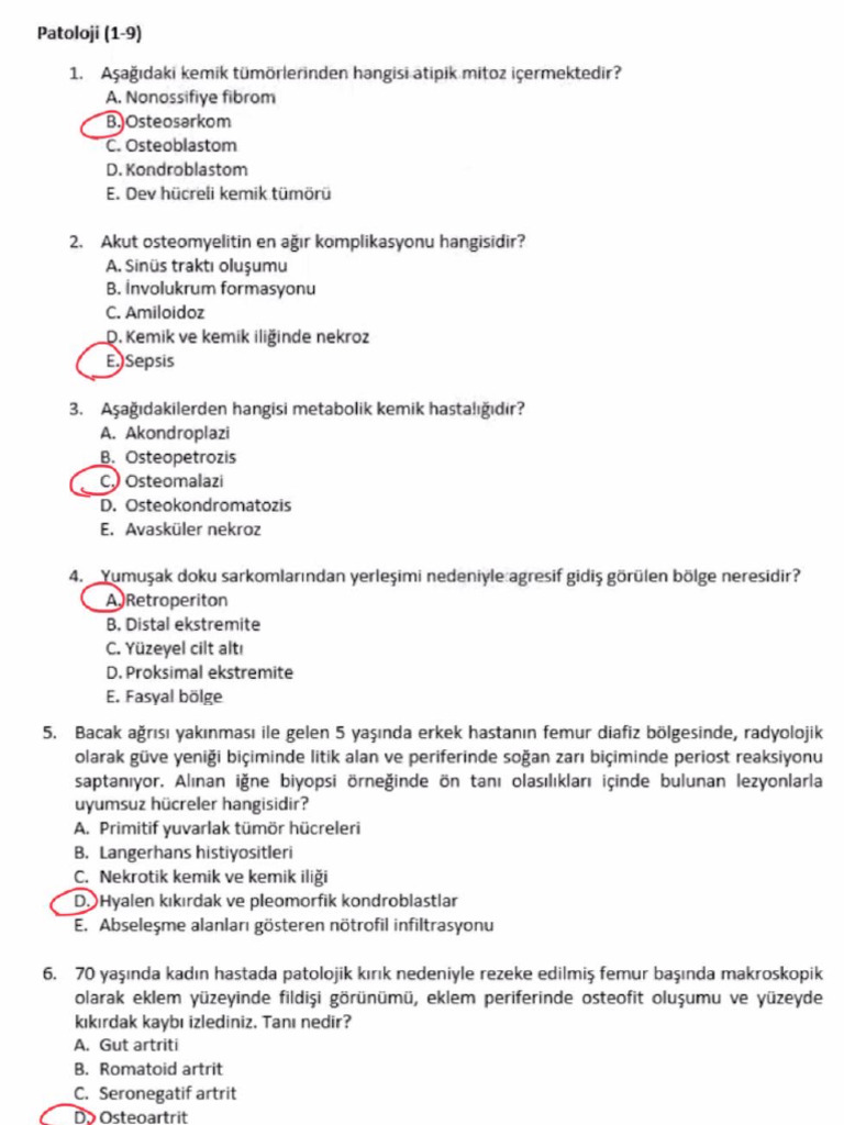 Kas Iskelet 22-23 | PDF