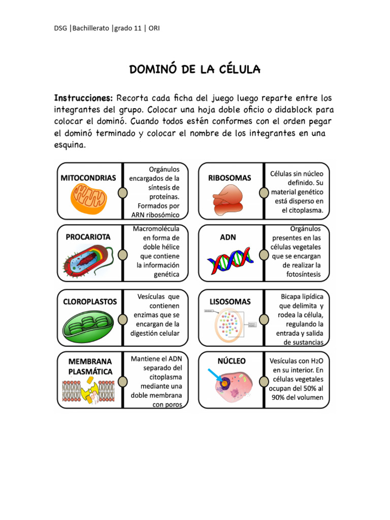 Domino de La Celula | PDF