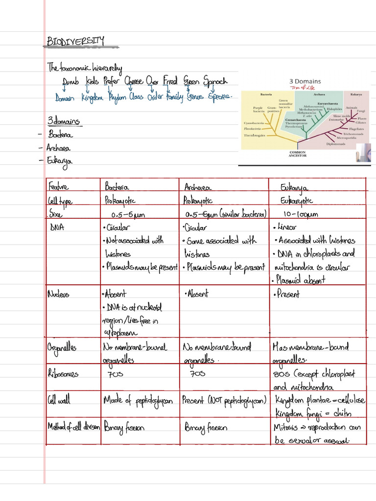 Biodiversity (MV) | PDF