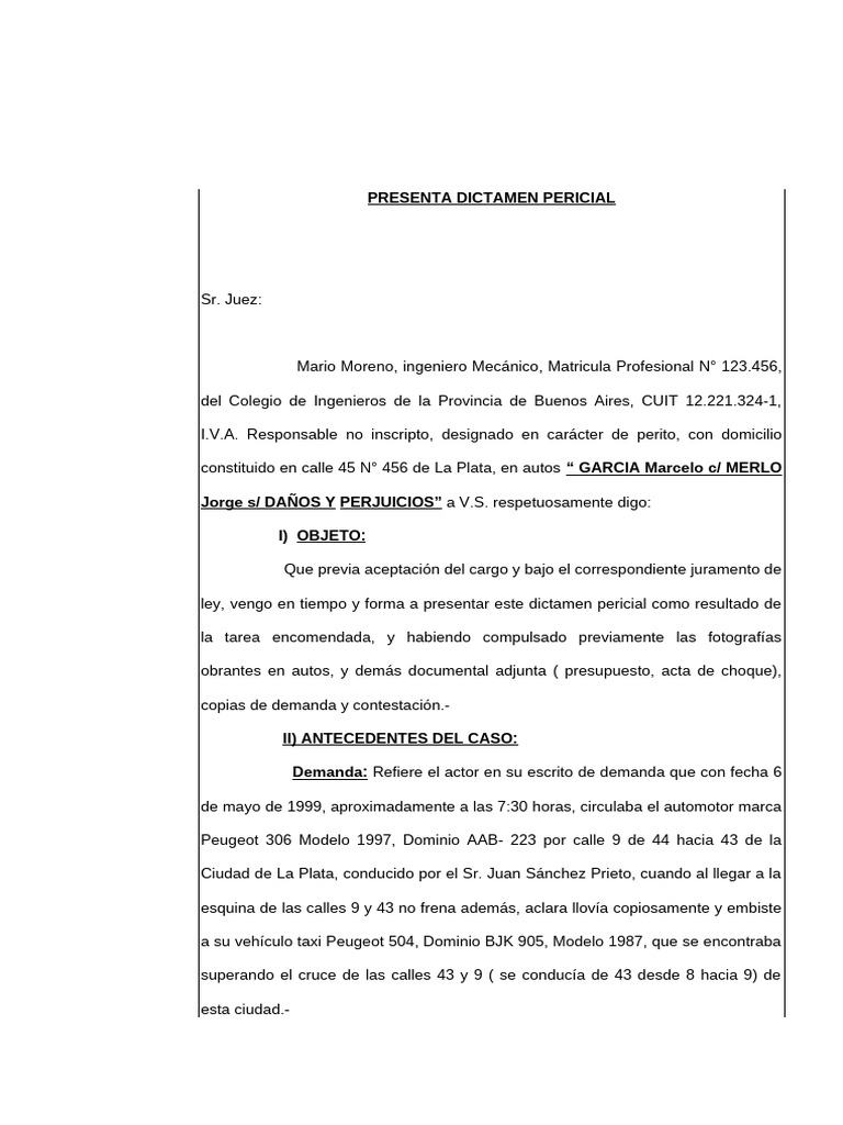 000 - Dictamen Pericial (Si Falta Lo Hago) | PDF | Tecnologías ...