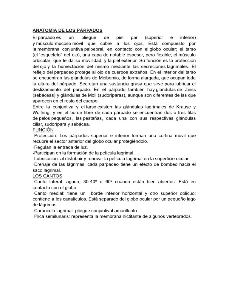 Clase 4 - Anatom-A de Los P-Rpados | PDF | Anatomía humana | Cara