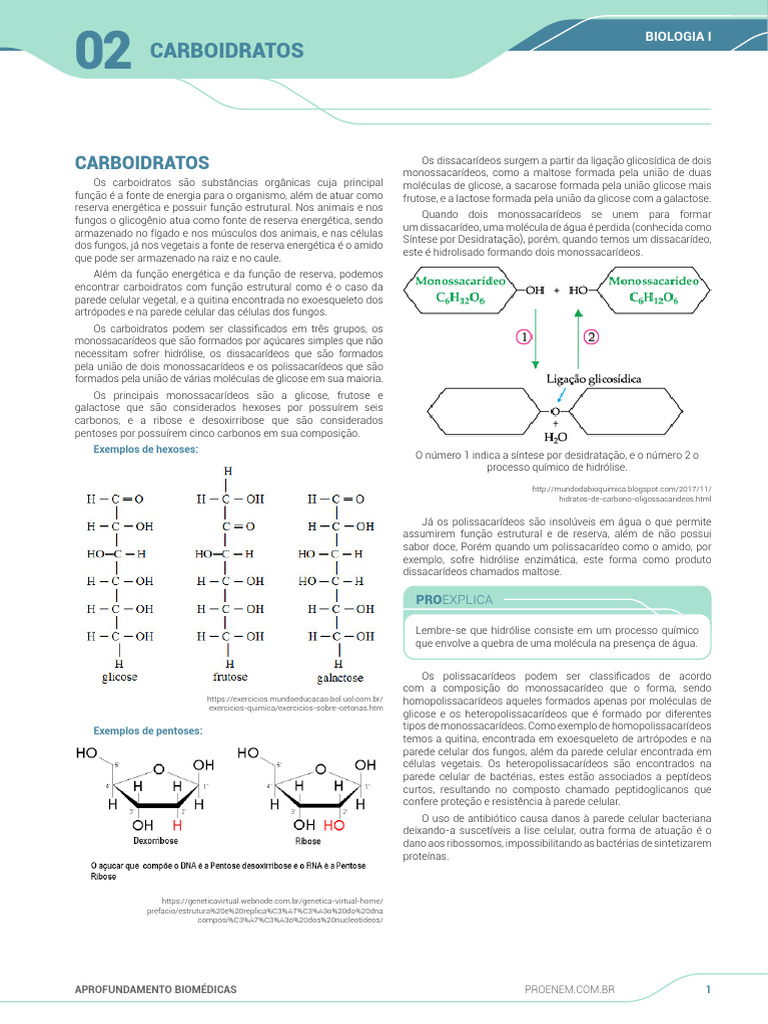 Carboidratos | PDF | Carboidratos | Biologia