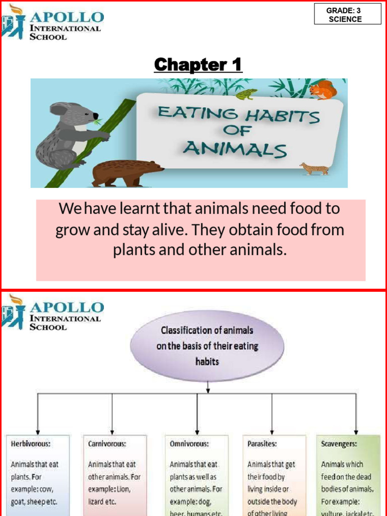 Wehave Learnt That Animals Need Food To Grow and Stay Alive. They ...