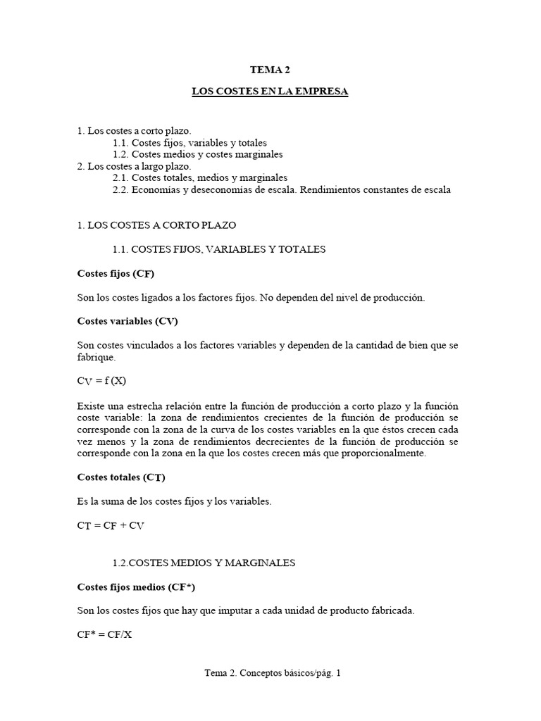 Tema 2. Conceptos Básicos. | PDF | Economías de escala | Procesos de negocio