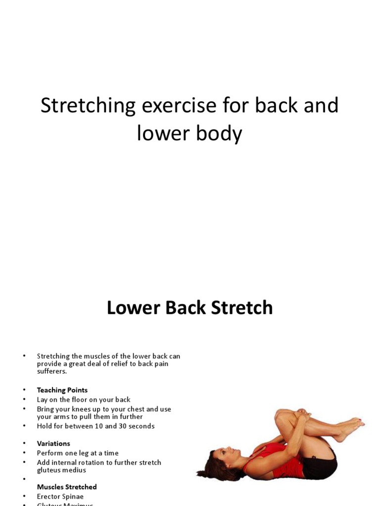 Stretching Exercise For Back and Lower Body | PDF | Human Leg | Foot