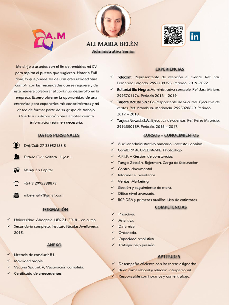 CV Ali Maria | PDF