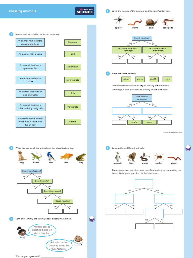 Animal Classification Key Guide | PDF | Zoology | Biology