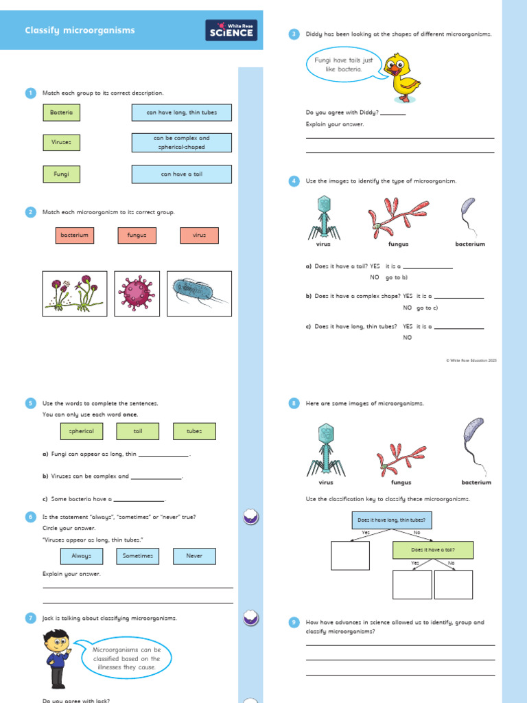 Y6 Autumn Block 1 WS6 Classify Microorganisms | PDF | Microorganism | Bacteria