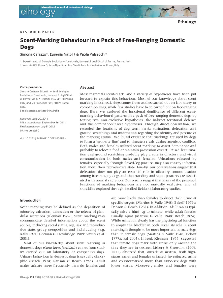 Scent-Marking in Free-Ranging Dogs | PDF | Ethology | Dogs