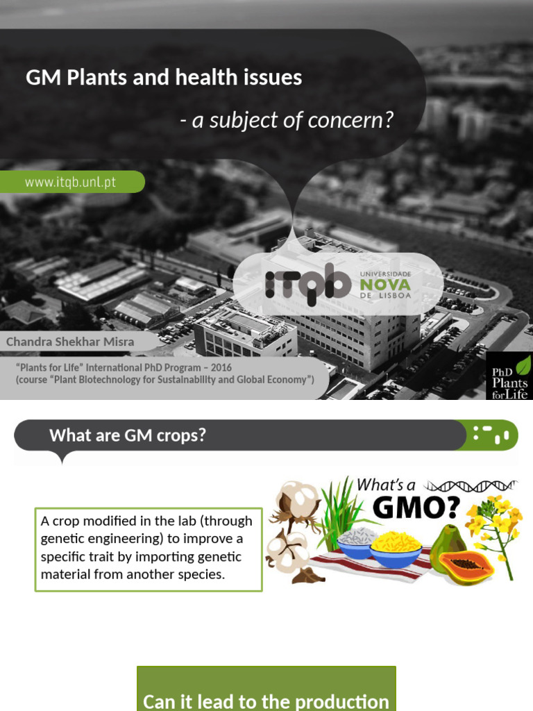04 Genetically-Modified-plants ChandraMisra | PDF | Genetic Engineering ...