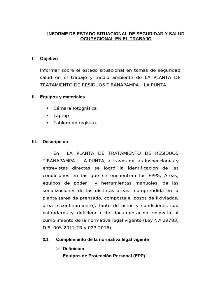 Informe Estado Situacional de Seguridad y Salud en El Trabajo Epp | PDF