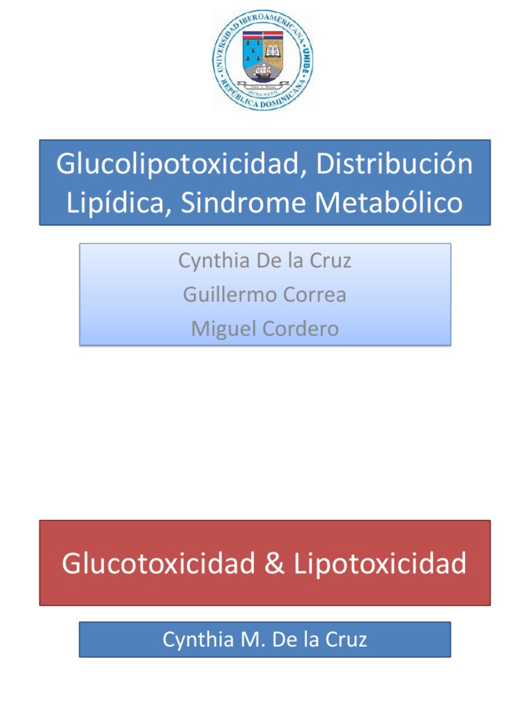 Gluco y Lipotoxicidad Final | PDF | Síndrome metabólico | Resistencia a ...