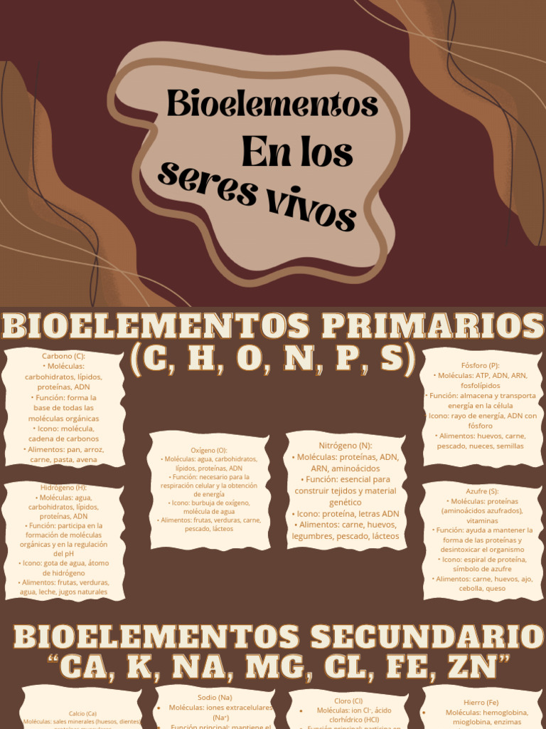 Bioelementos: Funciones y Alimentos | PDF | Proteínas | Calcio