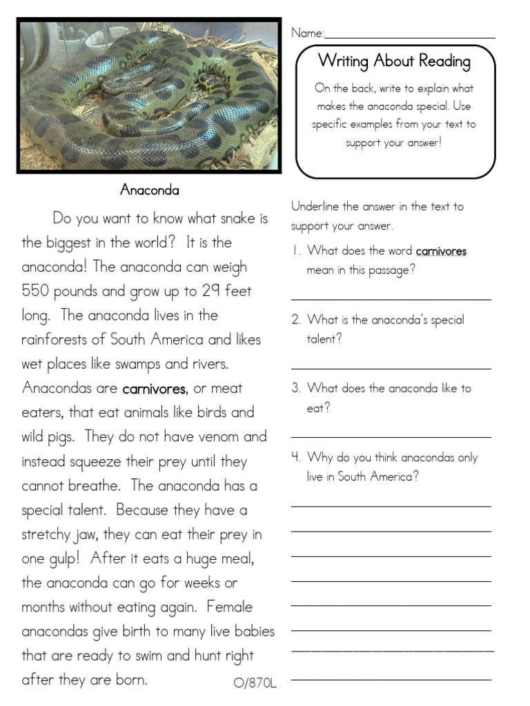 Anaconda Reading | PDF
