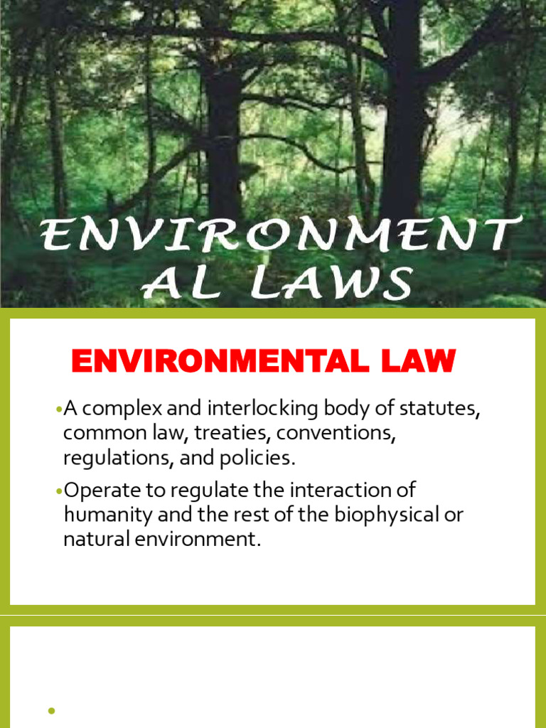 Overview of Environmental Laws | PDF