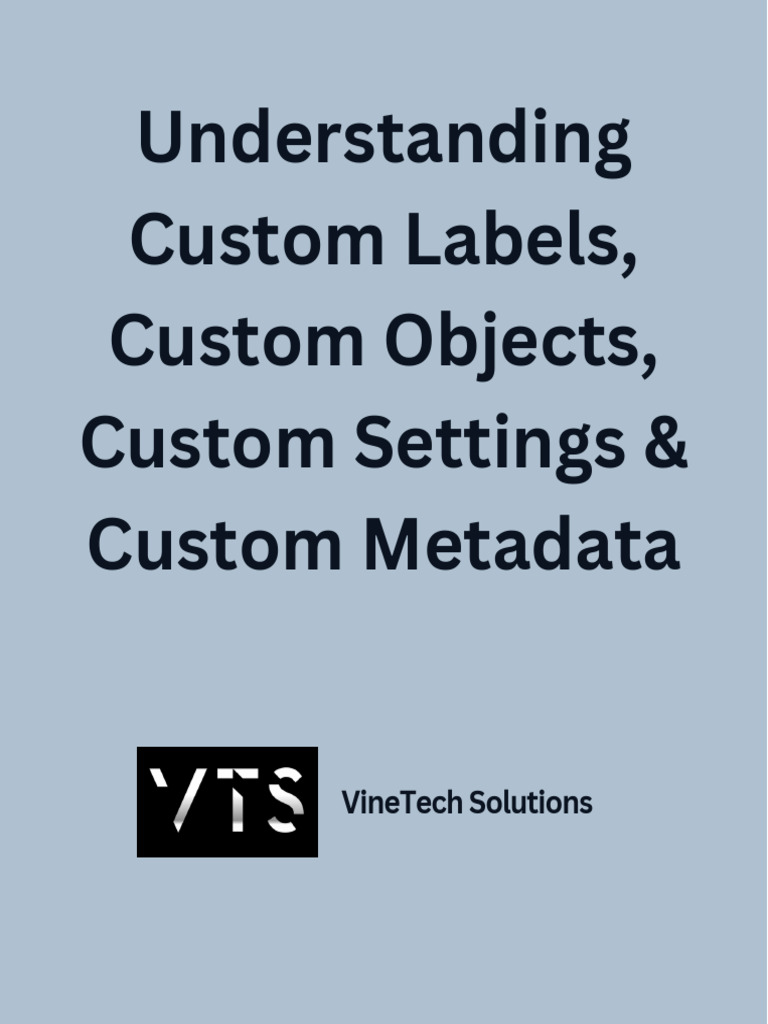 Difference Between Custom Label Custom Object Custom Setting and Custom Metadata Type | PDF ...
