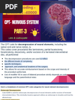 RVS Codes | PDF | Glaucoma | Cornea