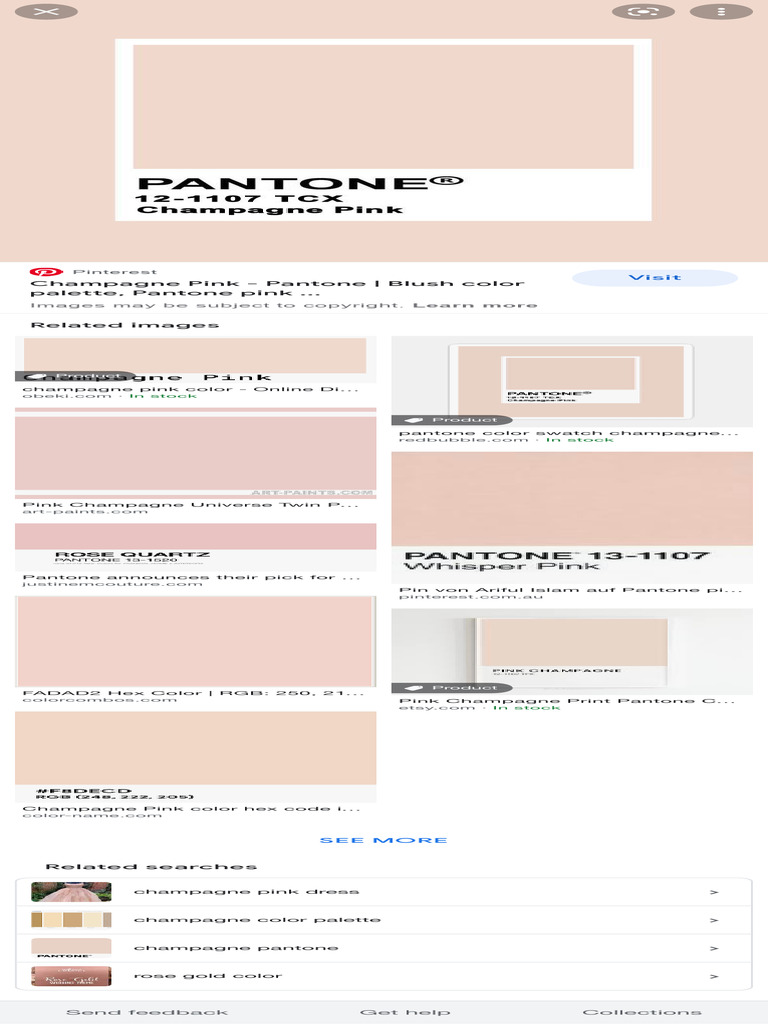 Rose Champagne Color - Google Search | PDF