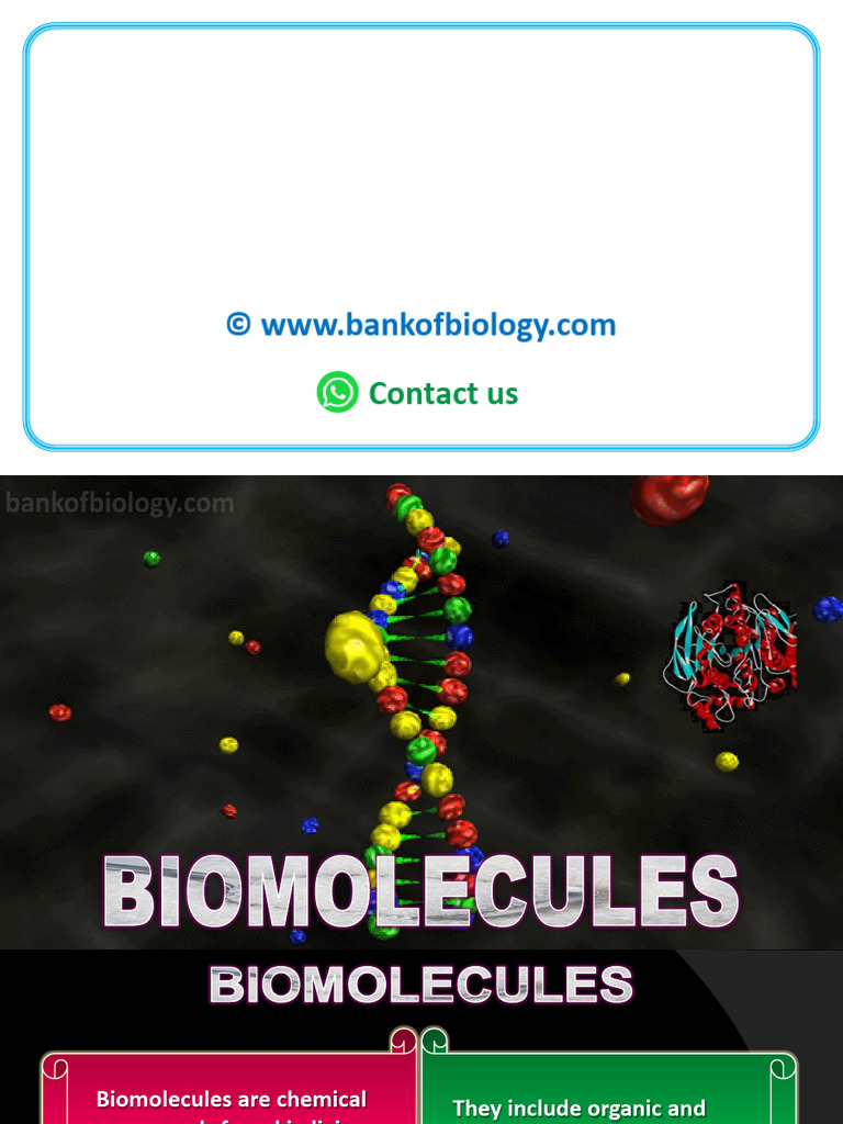 9 Biomolecules PPT - Part 1 | PDF | Nucleotides | Amino Acid