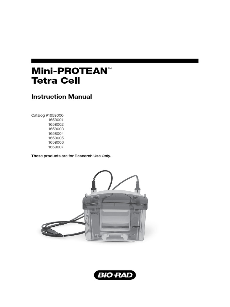 Mini-Protean Tetra Cell 10007296d | PDF | Polyacrylamide Gel Electrophoresis | Gel Electrophoresis