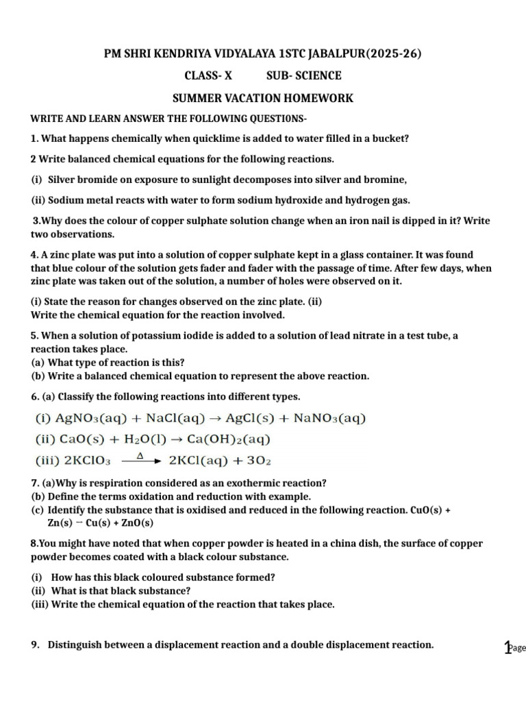 Summer Vacation Science Hw-x-2025 | PDF | Stoma | Photosynthesis