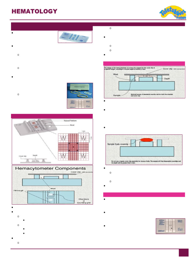 Hemocytometer Blood Cell Counting Guide | PDF | White Blood Cell | Anemia