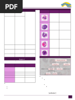 Understanding Stress Leukogram Patterns | PDF | White Blood Cell ...