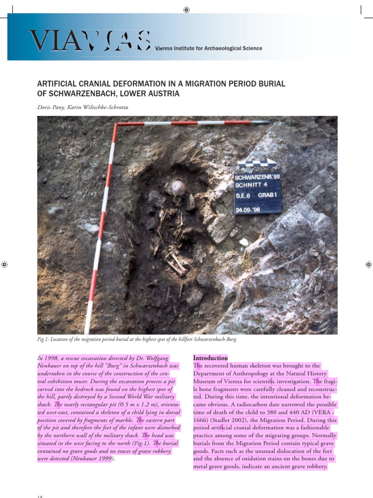 Artificial Cranial Deformation in a Migration Period Burial of ...