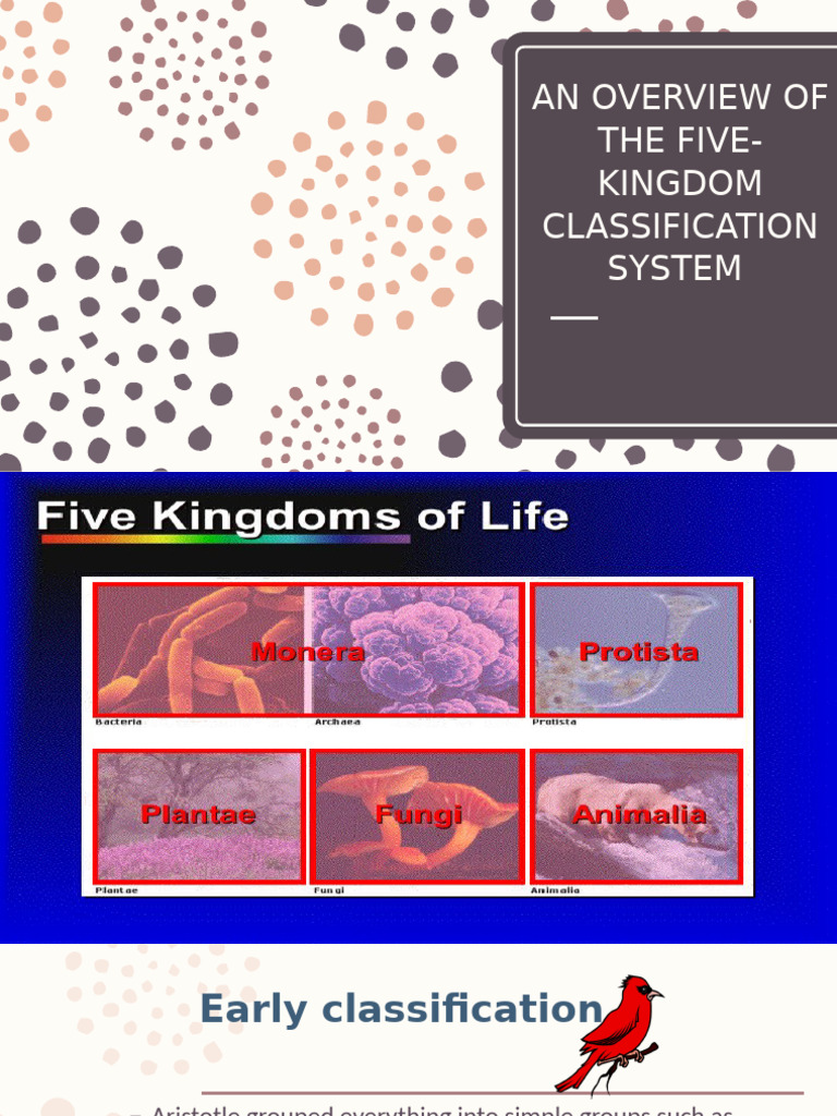 2.Five-Kingdom Classification System | PDF