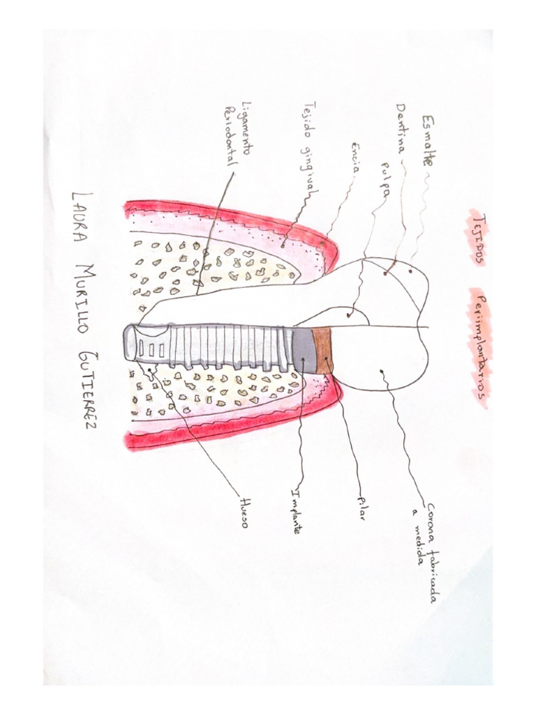 Tarea Perio Laura Murillo | PDF