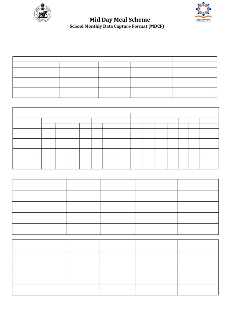 MDM Monthly Report Format Template | PDF