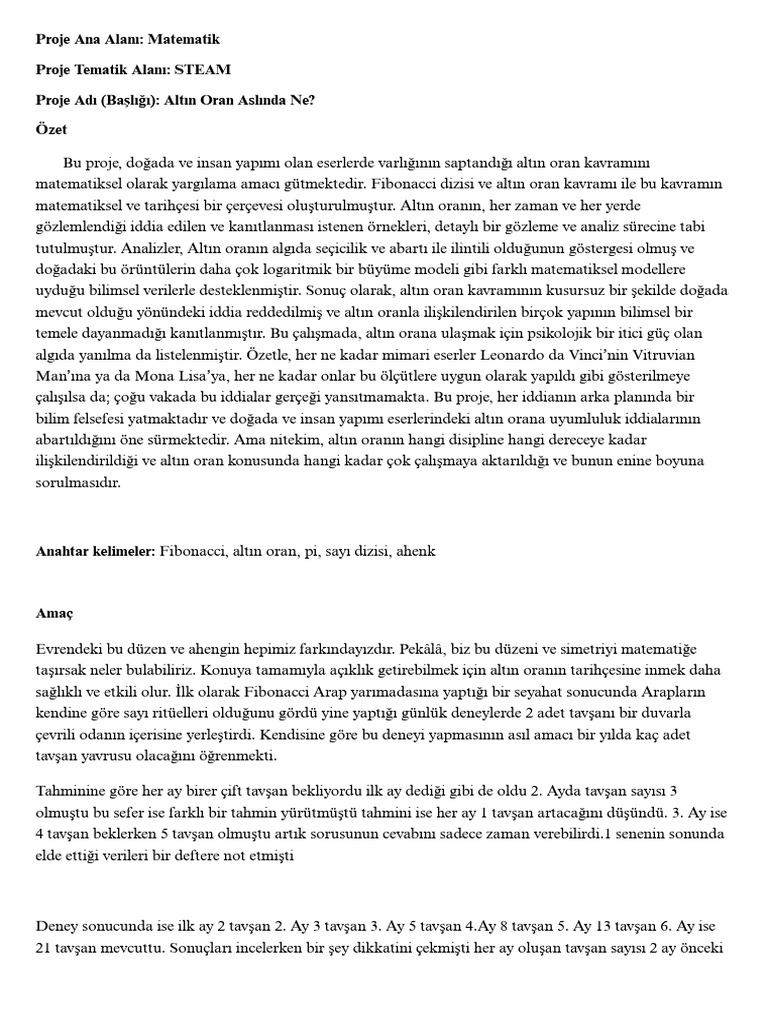 Altınorantubıtak2204lise20255.docx 20241209 101220 0000 | PDF