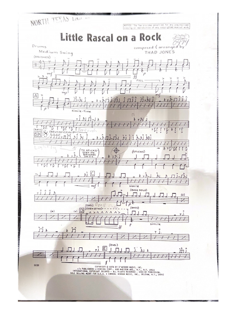 Little Rascal On A Rock 4 | PDF