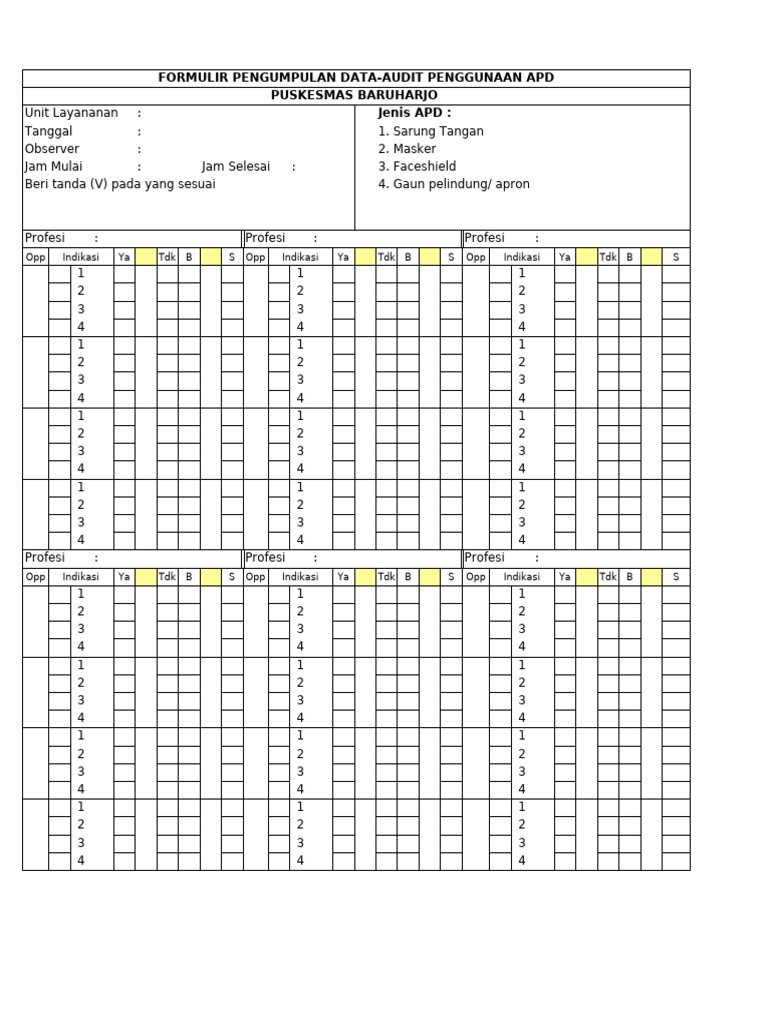 Form Audit Apd Ppi 2024 | PDF