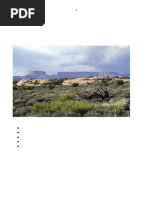 Understanding Rapids in Geography | PDF | River | Geomorphology
