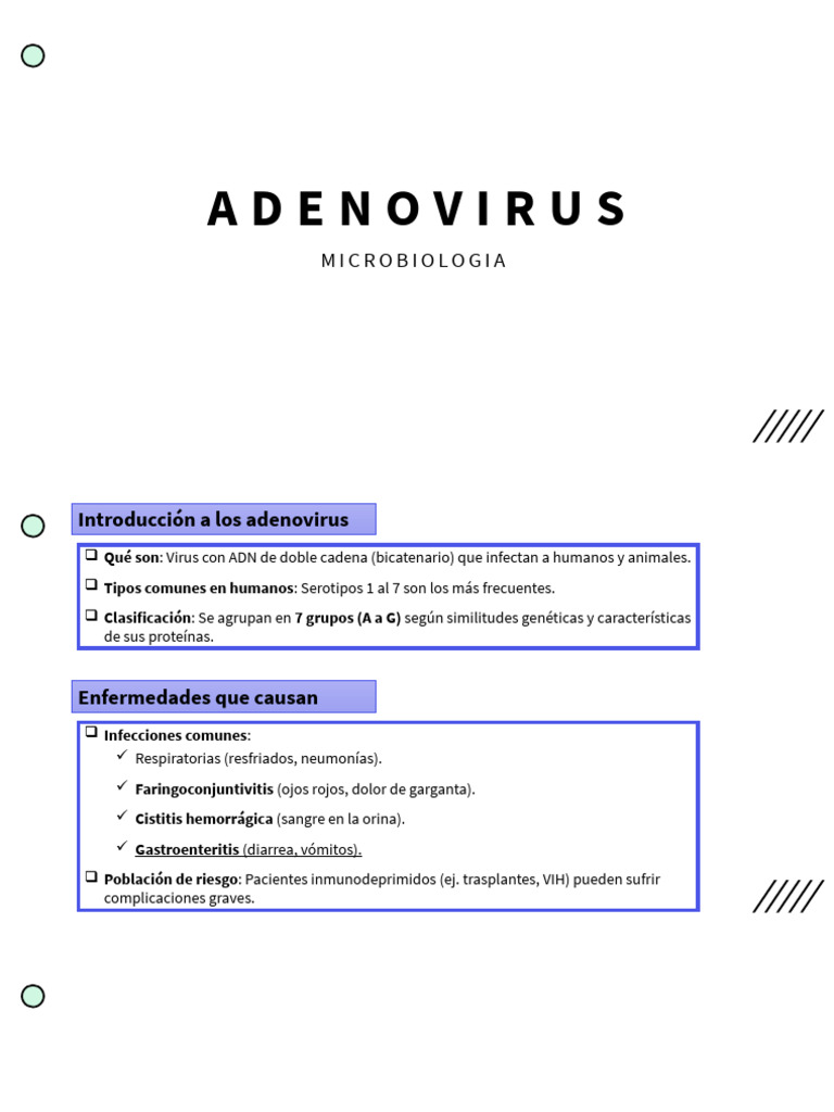 Adenovirus | PDF | Adenoviridae | Virus