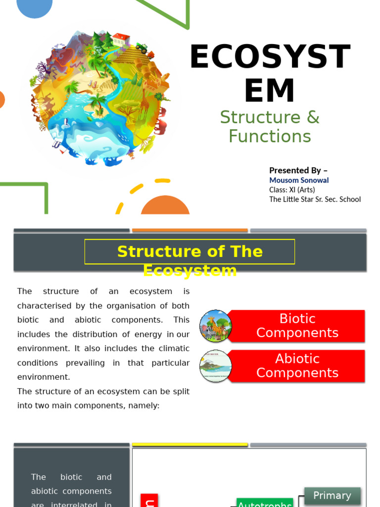 Ecosystem - Structure and Functions | PDF | Ecosystem | Biology