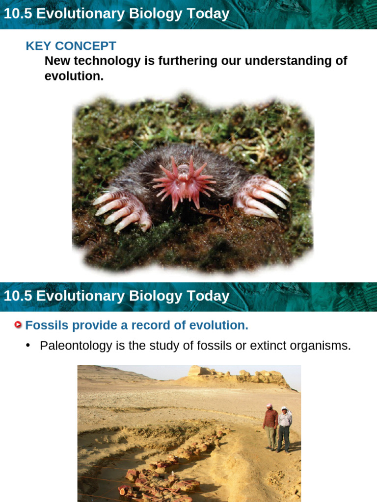 New Technology Is Furthering Our Understanding of Evolution | PDF